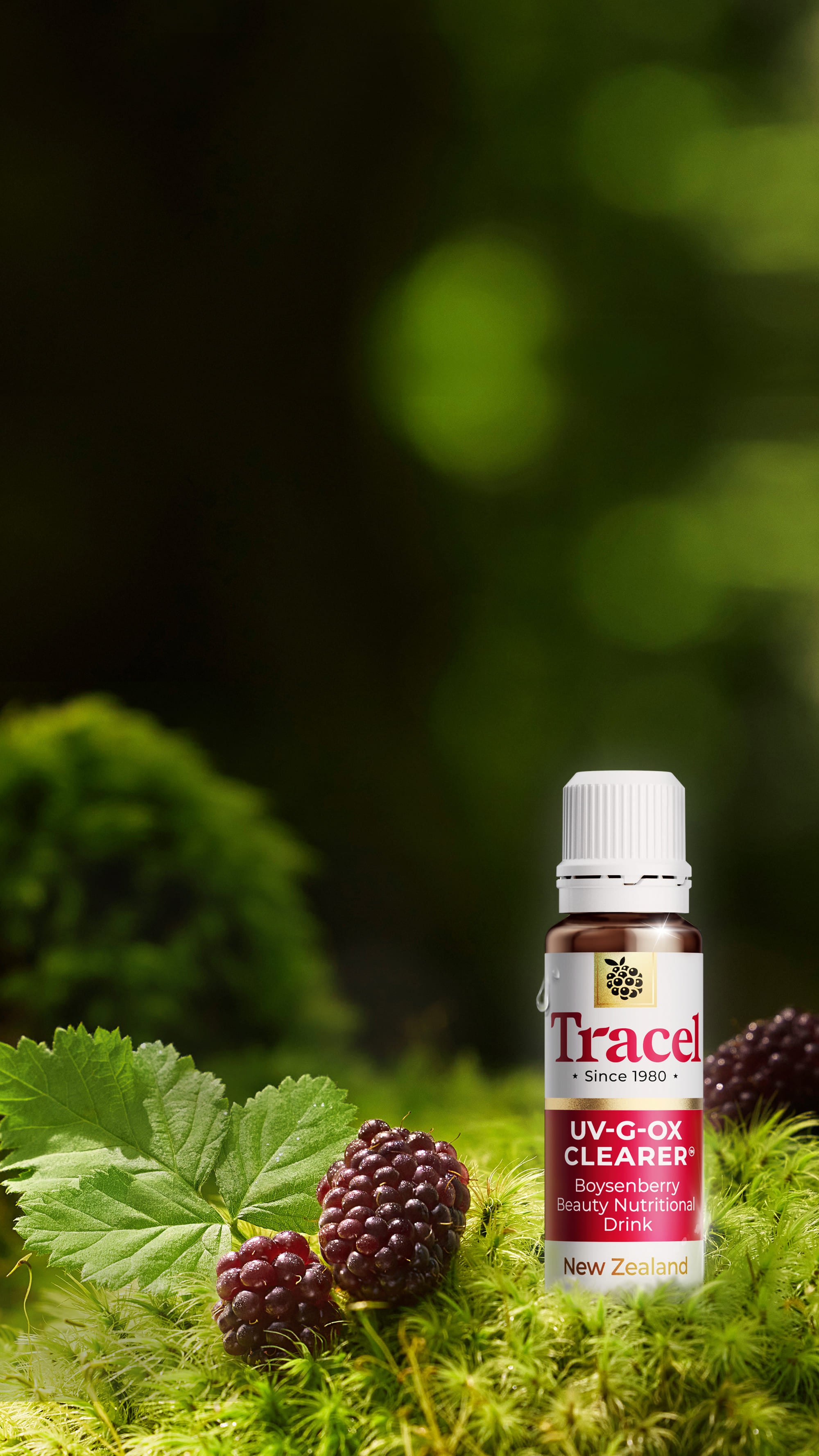 Boysenberry Benefits – Tracel Health